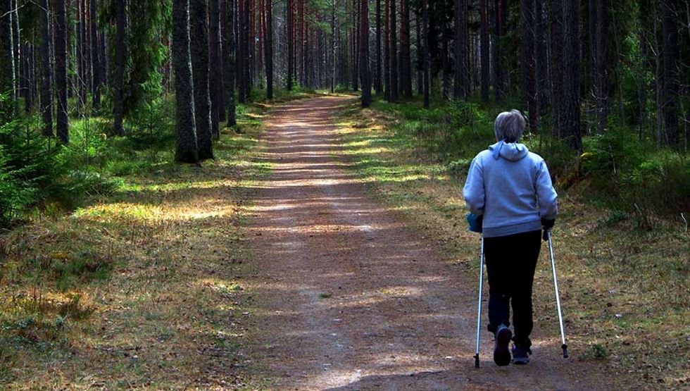 “Promenader gör dig lyckligare” – Huvudvärksskolan